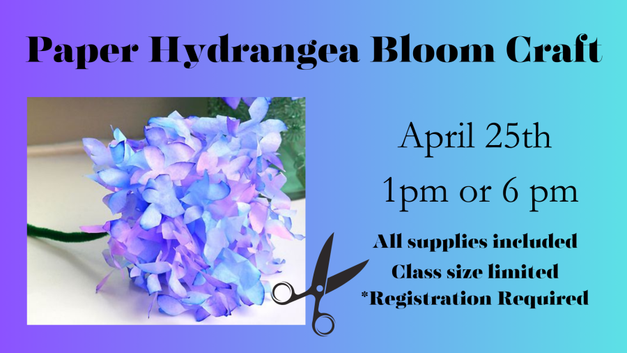 Paper Hydrangea Bloom | Hubbard Public Library